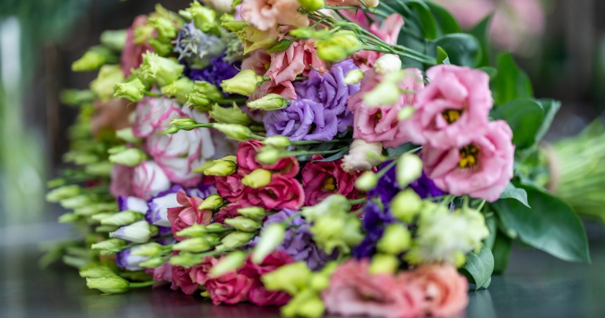 Takii Europe | Understanding Lisianthus growth types in European…