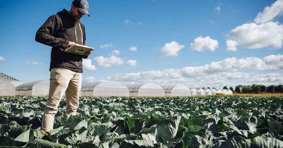 Takii Europe | Collaborating with KeyGene for advanced breeding…