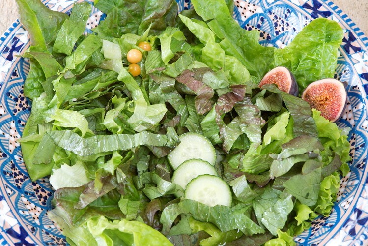 Takii Europe | Red IcebergLettuce