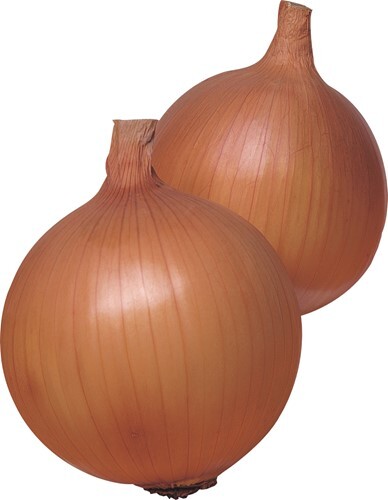 Takii (ES) | Takmark F1